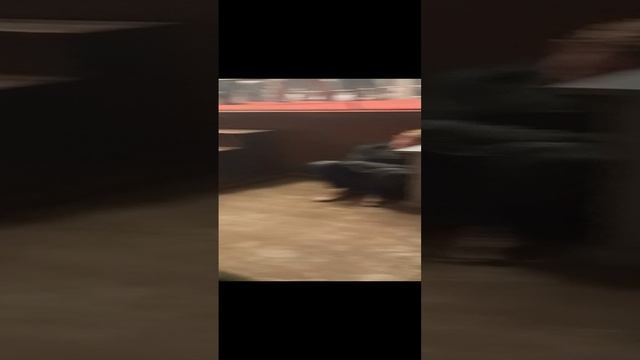 Когда уснул на работе, а добрые коллеги снимают это...