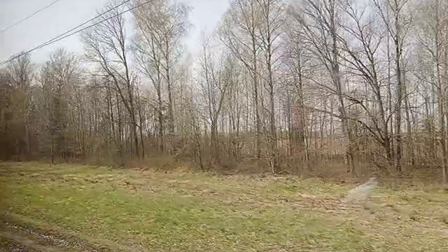 Белоруссия, станция Приямино