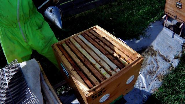 2023_0708_163415_097