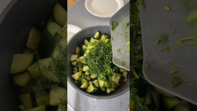 4a49189f-e3a0-4254-8d5b-58ae8cf26f50-1_all_5746.mp4