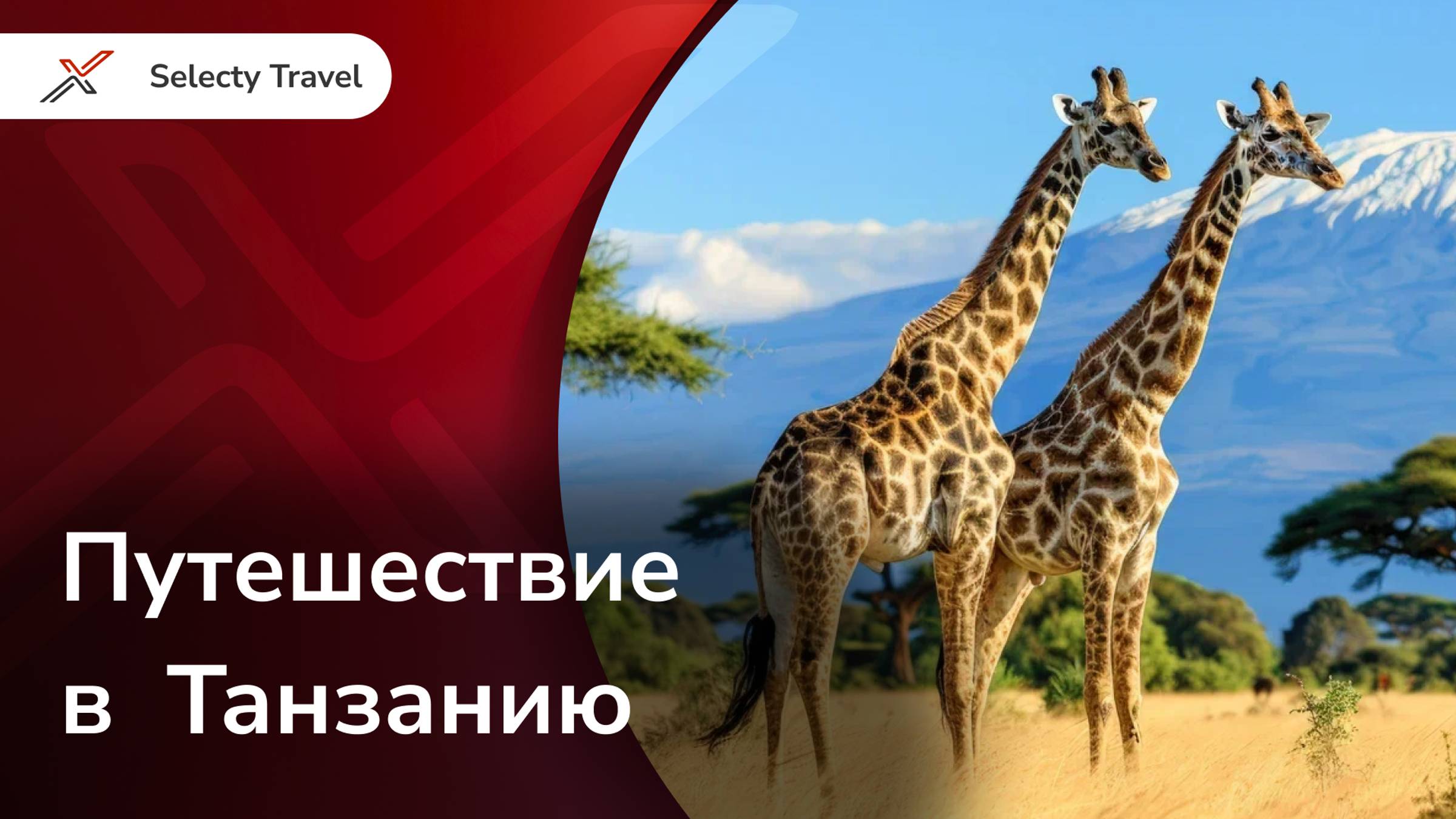 Путешествие в экзотическую Танзанию