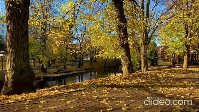 Ю. Шатунов. Падают листья.