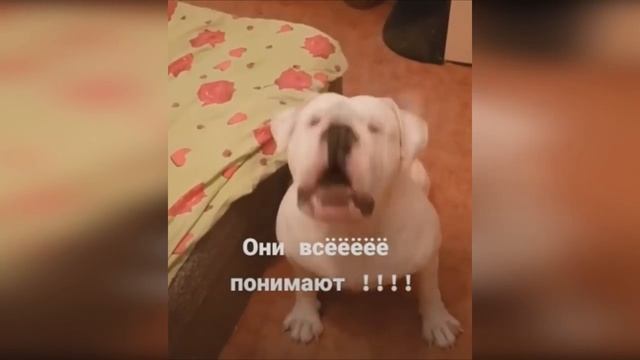 ЭТО РОССИЯ ??? 2021 #389 ??? #ЛУЧШИЕ #НОВЫЕ #СМЕШНЫЕ #ВИДЕО.mp4