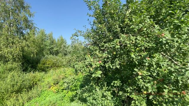 д. Порошкино, ИЖС. Новый коттедж 185 кв.м на участке 12,5 соток