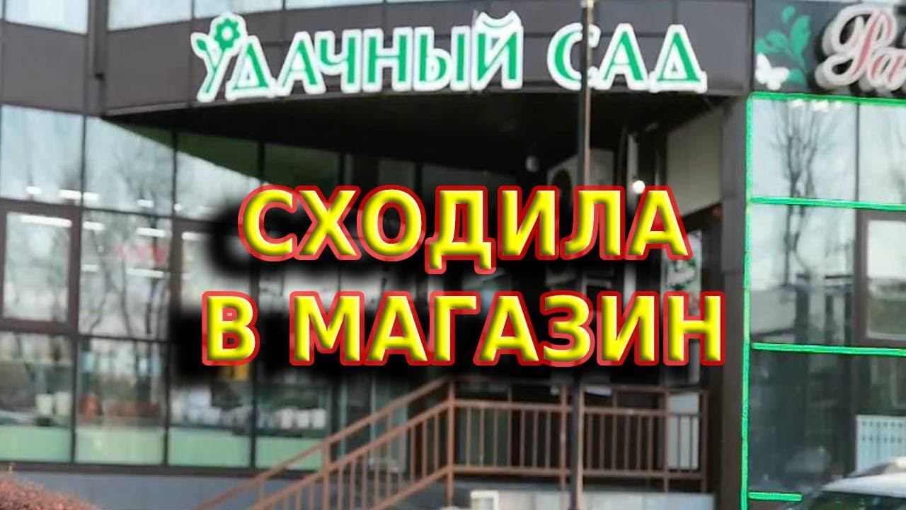 "Удачный сад" -  сходила  в магазин и опять кое что купила