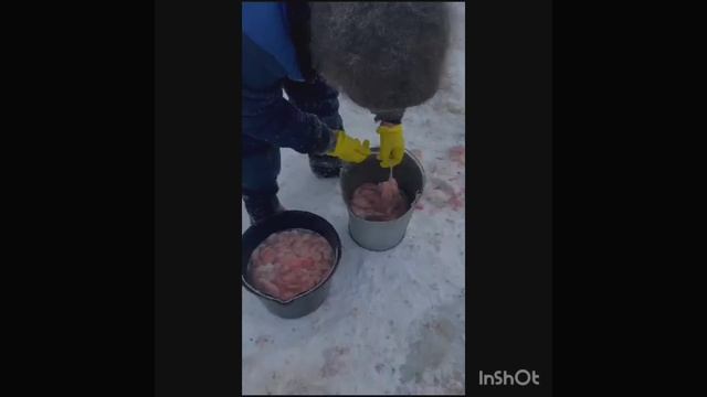 04 января 2024 четверг Тюлячинский район 
Республика Татарстан
Видео от Марата и Искры.