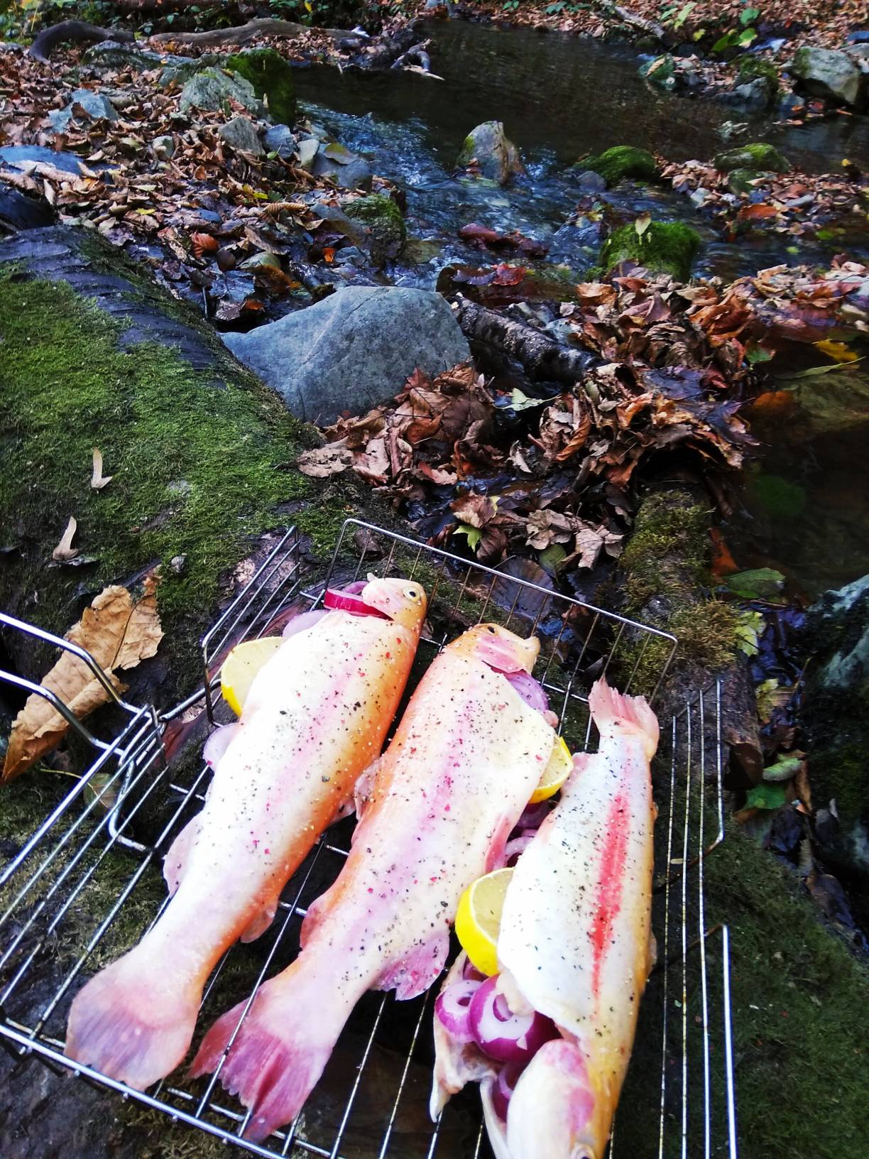 Пикник в Адлерском лесу.