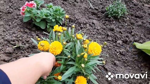 8 мая. Коптим. Собираем заборчик.