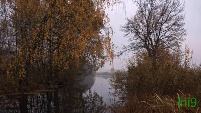 Пейзажи Надежды Лавровой- Фильм 2 -Редакция-