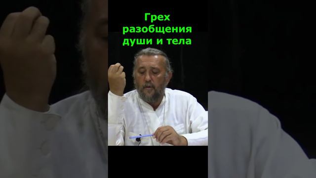 Грех разобщения души и тела. священник Игорь Сильченков.