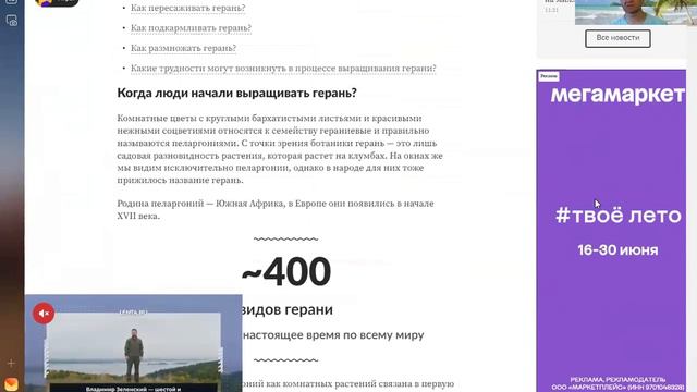 Что такое доходный сайт