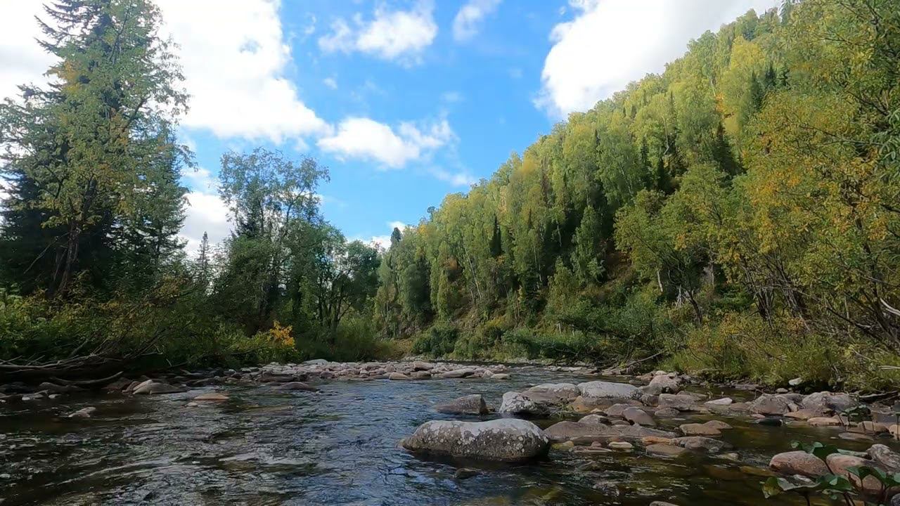 ЗВУКИ ПРИРОДЫ СЛУШАТЬ ОНЛАЙН ДЛЯ СНА