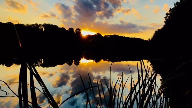 Поющие строки - то не ветер ветку клонит...любимая народная песня