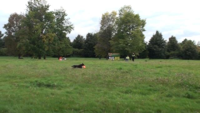 Чемпионат России. Елена и Мышь..mp4