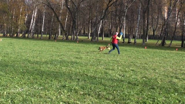 Ирина и Санни - фризби-фристайл.mp4