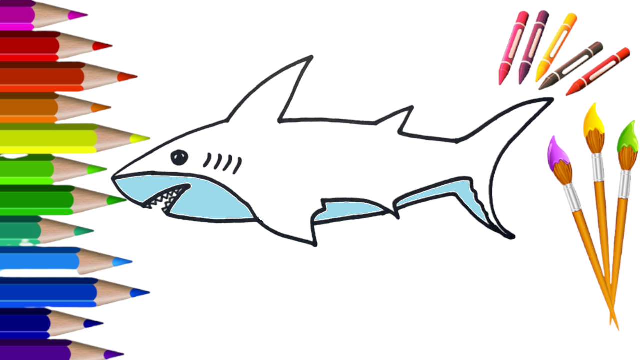Как нарисовать Акулу. Рисуем сами шаг за шагом