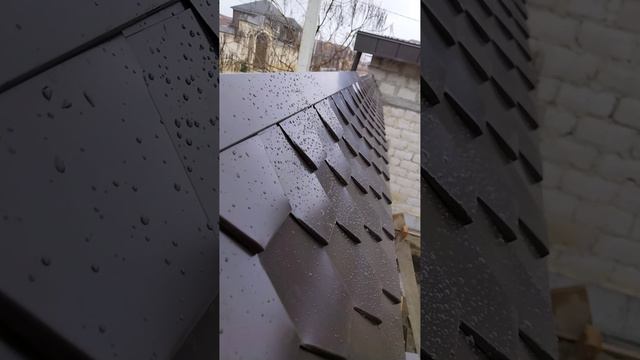 Кровельная чешуя