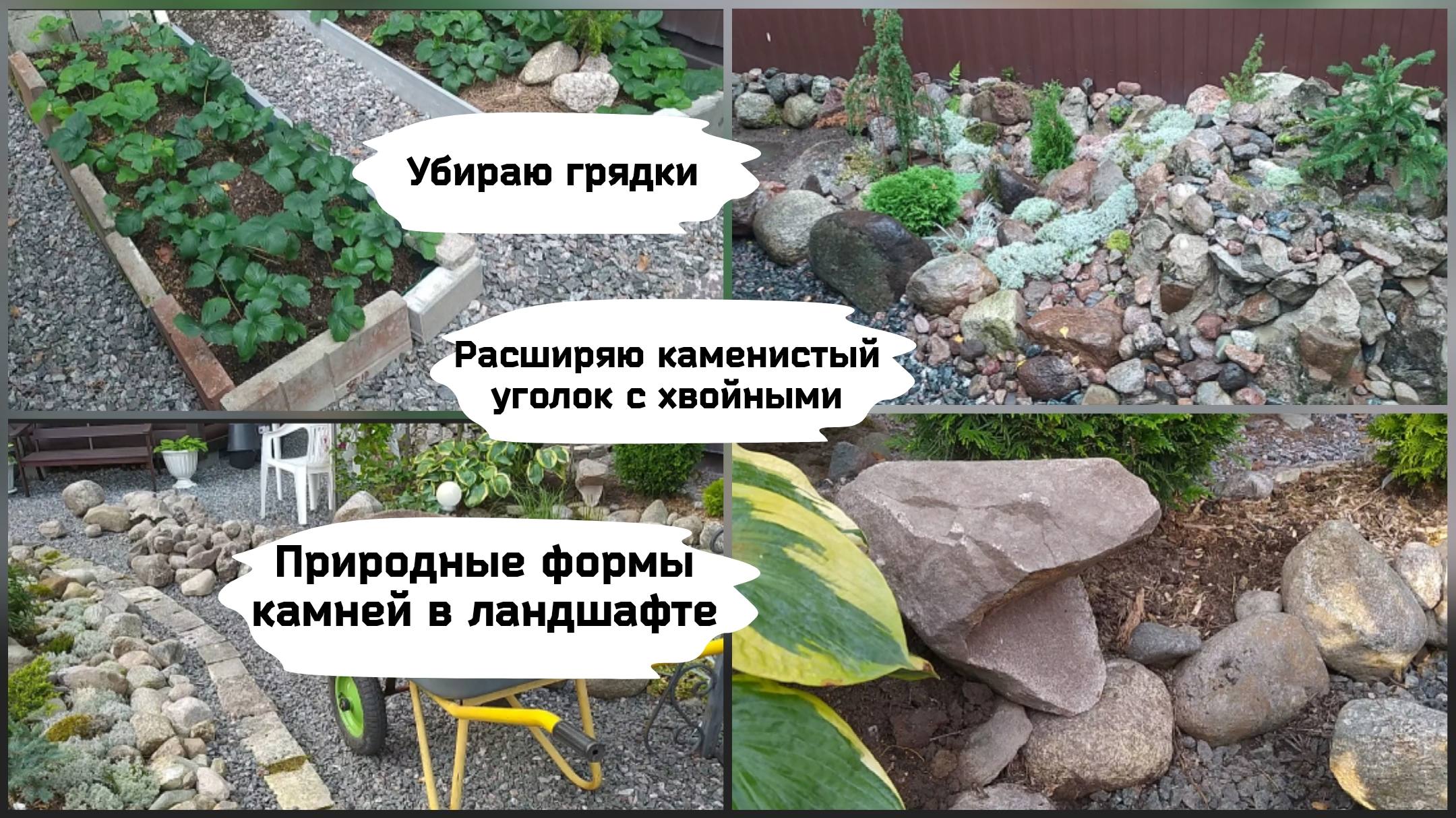 Расширяю каменистый уголок с хвойными растеними.Природные формы камней в ландшафте.