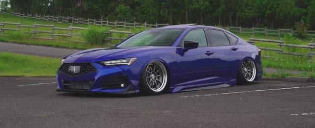 Acura TLX ✖ The boy in the rabbit #028