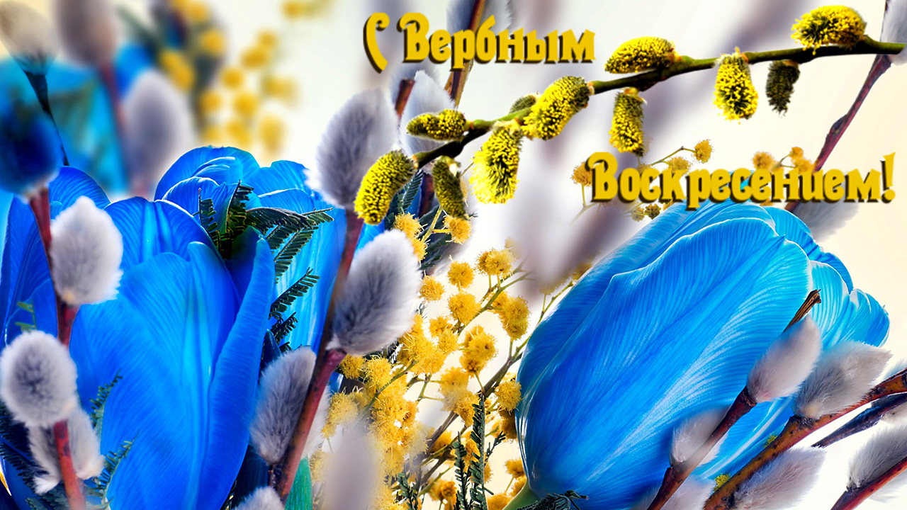 С Вербным Воскресеньем! Поздравление!