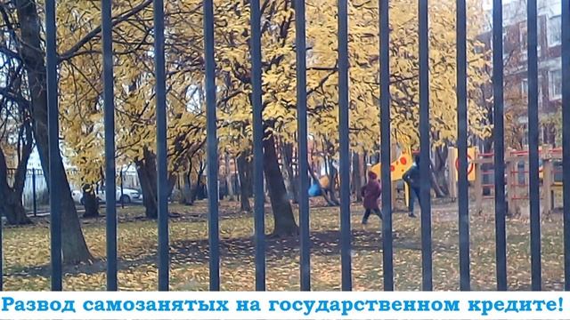 Развод самозанятых на оформлении государственного кредита для бизнеса