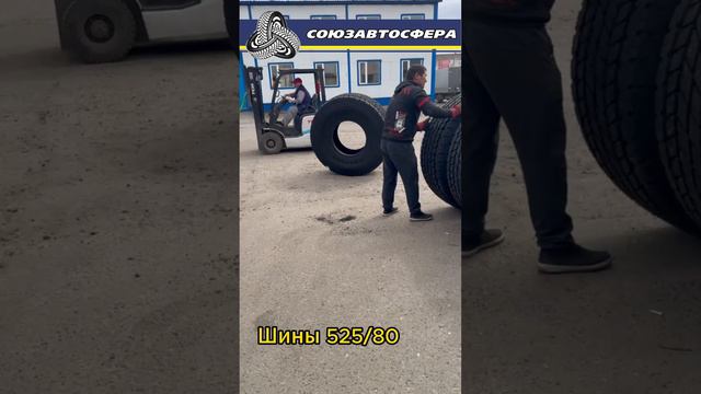 Поступление крупногабаритных шин  #aeolus