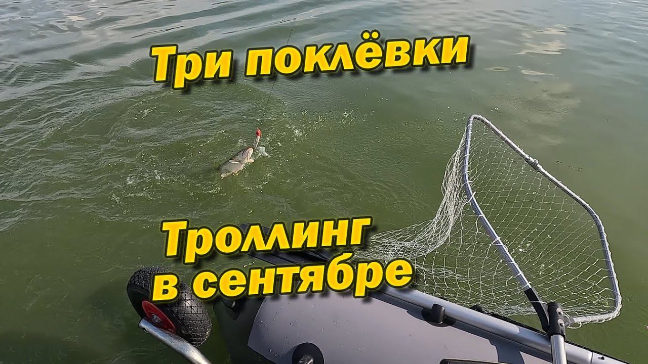 Три поклёвки  Троллинг в сентябре