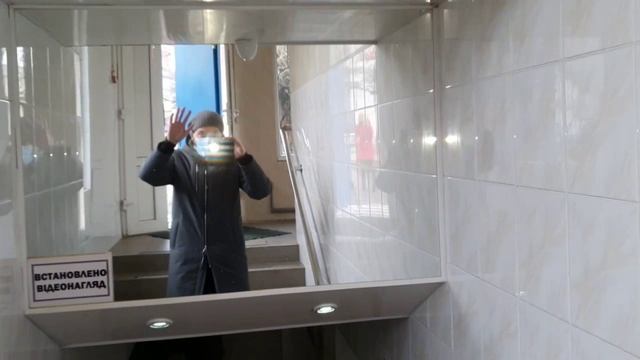 Прививка собаке, как делать