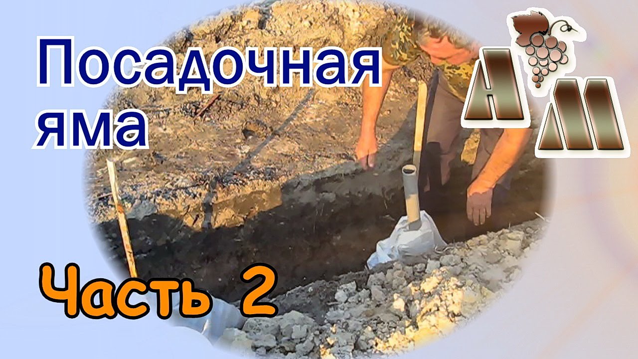 ? Посадочная яма для винограда (часть 2). Заполнение грунтом, удобрение
