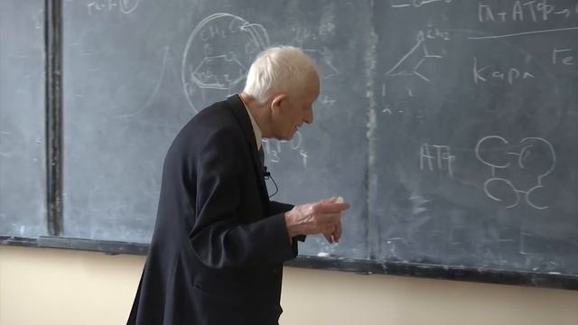 7. Шноль С. Э. - Введение в биоорганическую химию - Полисахариды, регуляция их синтеза и расщепления