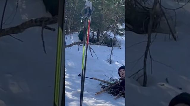 Лес, наша мартовская прогулка на лыжах.