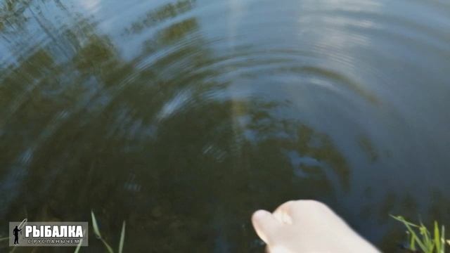 Незапланированная рыбалка. Карась спортивного размера