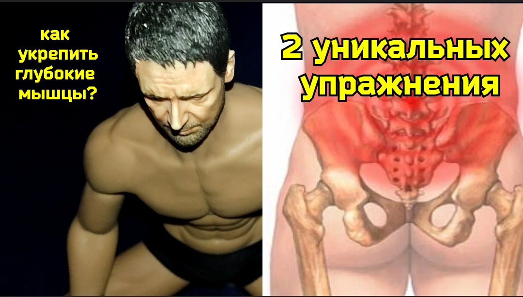 Мышцы вокруг крестца и копчика дают жизнь позвоночнику и мозгу. Методы укрепления