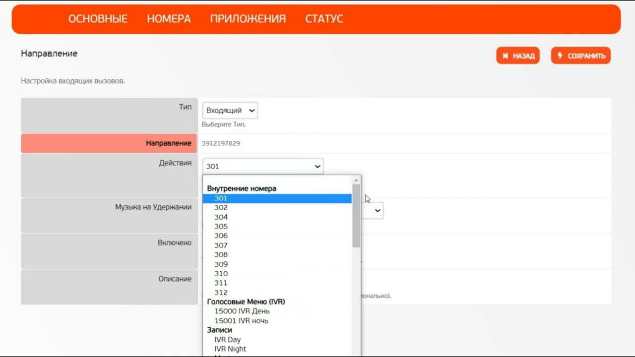 Настройка внешнего номера