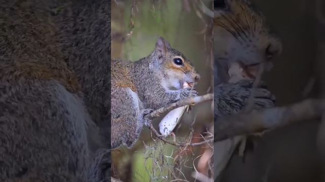 Сейчас нажрусь и в ночной клуб )))