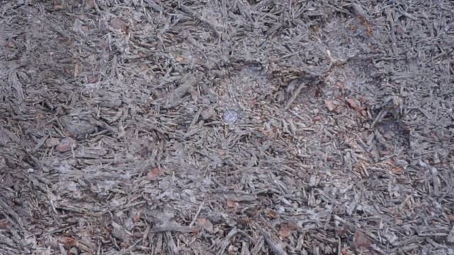 Забиваем гвоздь в арболит