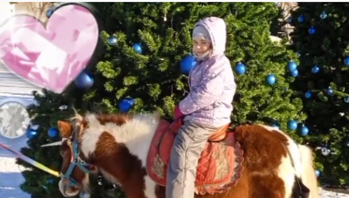 Пони -  единорог .