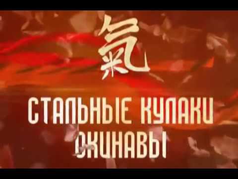 Стальные кулаки Окинавы avi