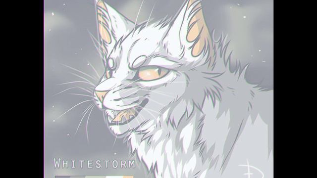 Буран из Котов-Воителей