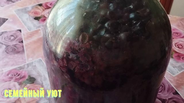 Советы начинающим виноделам! Виноград Молдова