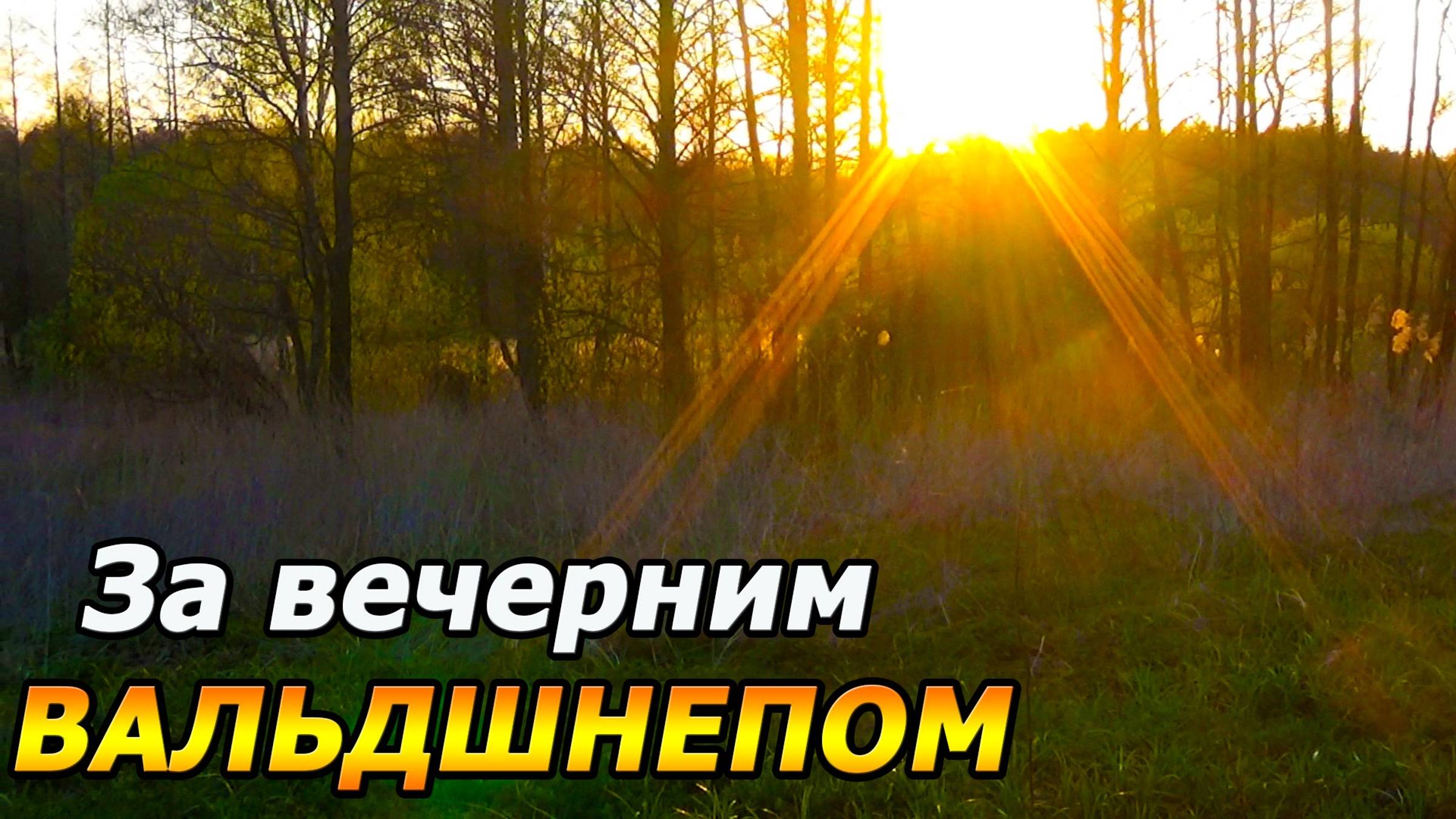 Закрытие весенней охоты 2023. Охота на вальдшнепа