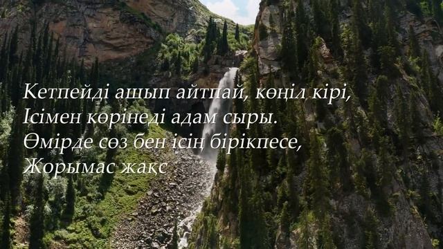 Әшір Момынов. _Төрттағандар_,  №16