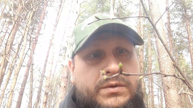 Средилесье: выживание в лесу ранней весной.