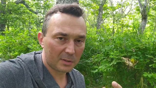 Через какое время «сгорают» долги. Исковая давность и применение срока исковой давности