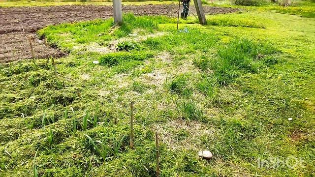 Мысли вслух.Бомбануло.