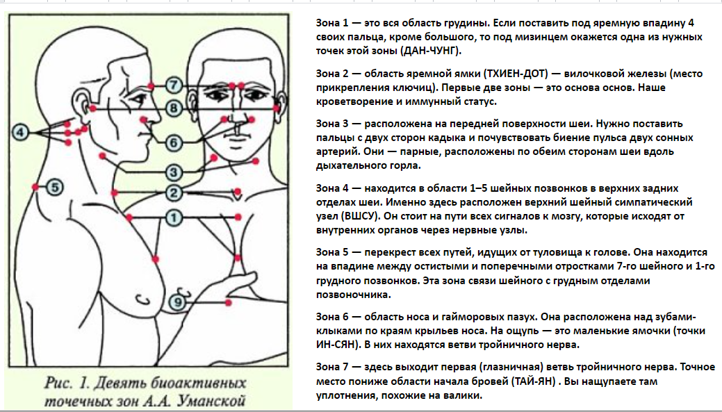 Акупунктура долголетия. Девять точек - девять жизней.