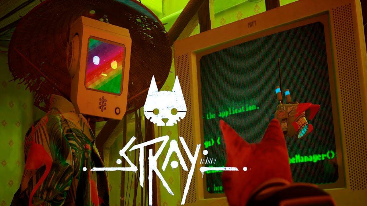 САМЫЙ ГЛАВНЫЙ АУТСАЙДЕР ► Stray #3