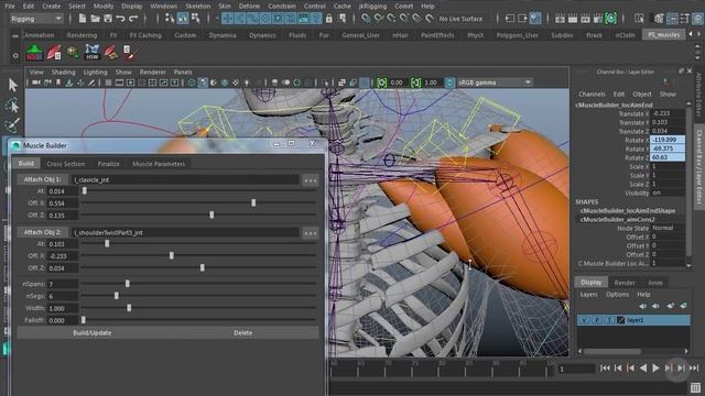 02 07 Creating Pectoral Muscles