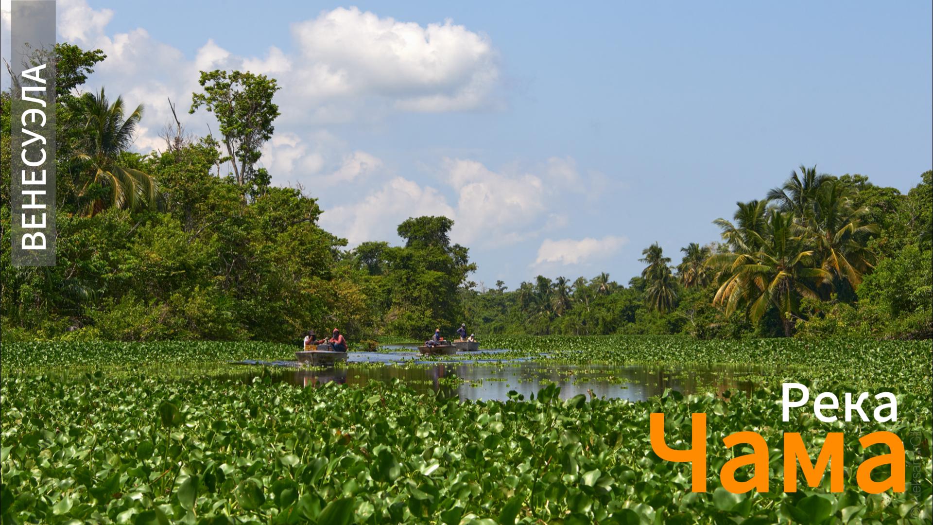 Река Чама, Венесуэла | Эвристические ПутеШествия
