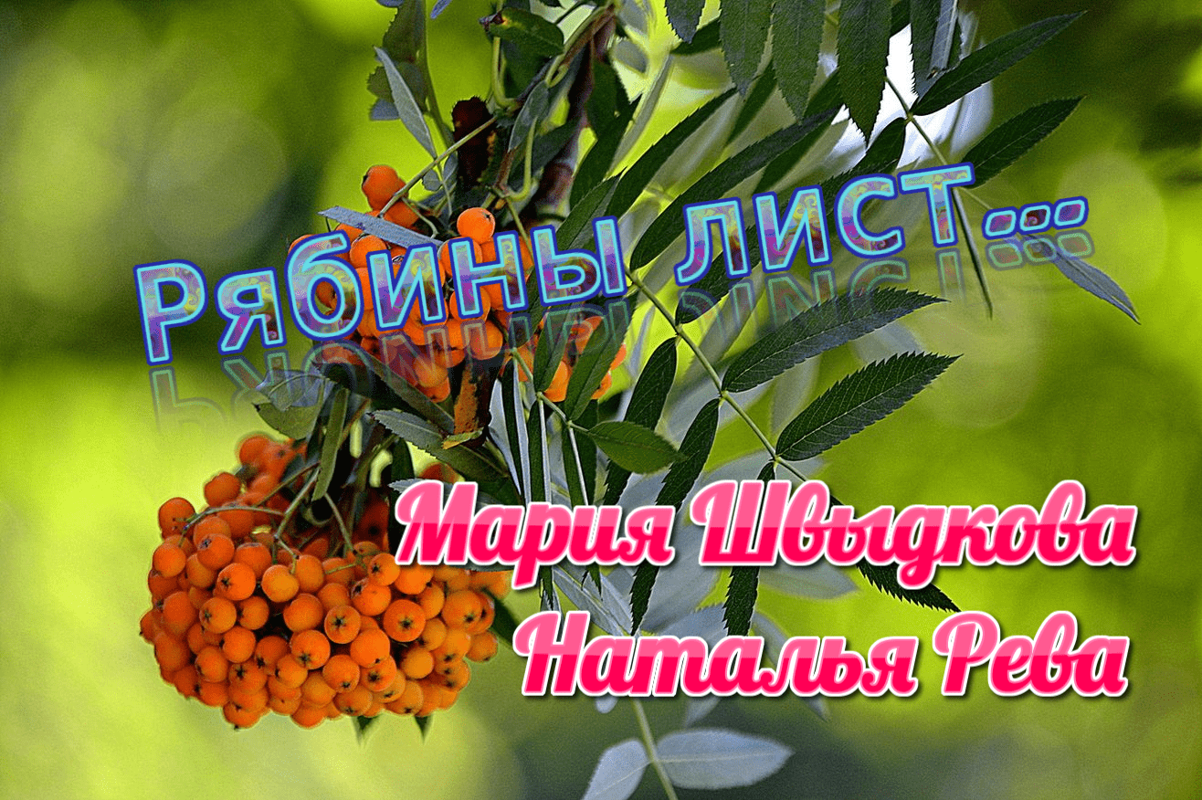 Рябины лист.mov